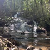 Fall Branch Falls Trail, Georgia - 1,290 Reviews, Map | AllTrails