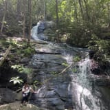 Fall Branch Falls Trail, Georgia - 1,290 Reviews, Map | AllTrails