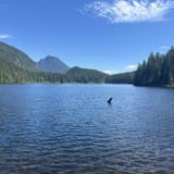 Wallace Falls and Wallace Lake Loop, Washington - 1,450 Reviews, Map ...