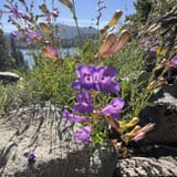 Spaulding Lake Trail, California - 1,338 Reviews, Map | AllTrails