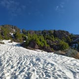 Mount Ellinor Trail, Washington - 2,686 Reviews, Map | AllTrails