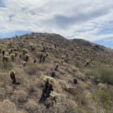 Dixie Mountain Loop Trail, Arizona - 3,279 Reviews, Map | AllTrails