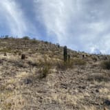 Dixie Mountain Loop Trail, Arizona - 3,396 Reviews, Map | AllTrails