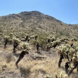 Dixie Mountain Loop Trail, Arizona - 3,279 Reviews, Map | AllTrails