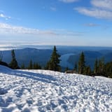Mount Ellinor Trail, Washington - 2,686 Reviews, Map | AllTrails