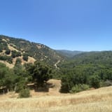 Moore Creek Trail, California - 586 Reviews, Map | AllTrails