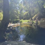 Moore Creek Trail, California - 586 Reviews, Map | AllTrails