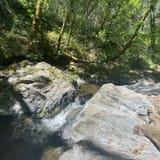 Moore Creek Trail, California - 586 Reviews, Map | AllTrails