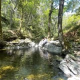 Moore Creek Trail, California - 586 Reviews, Map | AllTrails