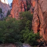 Spring Creek Canyon, Utah - 1,375 Reviews, Map | AllTrails