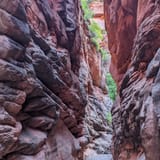Spring Creek Canyon, Utah - 1,375 Reviews, Map | AllTrails