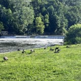 Humber River Recreation Trail, Ontario, Canada - 927 Reviews, Map ...
