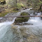 Star Creek Falls Loop, Alberta, Canada - 761 Reviews, Map | AllTrails