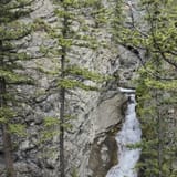 Star Creek Falls Loop, Alberta, Canada - 761 Reviews, Map | AllTrails