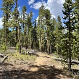 Boreas Pass, Colorado - 1,879 Reviews, Map | AllTrails