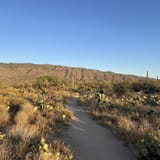 Mica View and Cactus Forest Loop, Arizona - 1,535 Reviews, Map | AllTrails