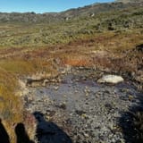 Illawong Walk, New South Wales, Australia - 330 Reviews, Map | AllTrails