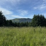 The Knoll Loop, Oregon - 3,259 Reviews, Map | AllTrails
