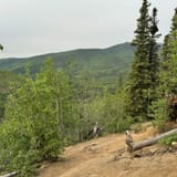 Angel Rocks Trail, Alaska - 928 Reviews, Map | AllTrails