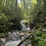 Blue Hole Falls, Tennessee - 572 Reviews, Map | AllTrails