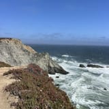 Bodega Head Trail, California - 1,987 Reviews, Map | AllTrails