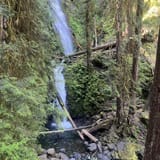 Murhut Falls Trail, Washington - 985 Reviews, Map | AllTrails
