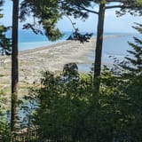 Dungeness Spit Trail, Washington - 1,623 Reviews, Map | AllTrails
