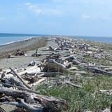 Dungeness Spit Trail, Washington - 1,623 Reviews, Map | AllTrails