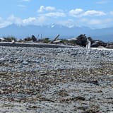 Dungeness Spit Trail, Washington - 1,623 Reviews, Map | AllTrails
