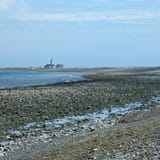 Dungeness Spit Trail, Washington - 1,623 Reviews, Map | AllTrails
