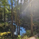 Silver Falls Loop, Washington - 2,921 Reviews, Map | AllTrails