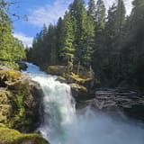 Silver Falls Loop, Washington - 2,921 Reviews, Map | AllTrails