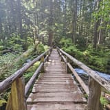 Silver Falls Loop, Washington - 2,921 Reviews, Map | AllTrails