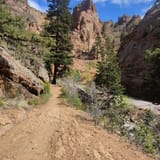 Columbine Trail, Colorado - 1,988 Reviews, Map | AllTrails