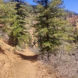 Columbine Trail, Colorado - 1,988 Reviews, Map | AllTrails