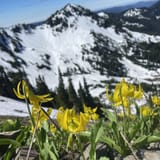 High Divide and Seven Lakes Basin Loop, Washington - 1,227 Reviews, Map ...