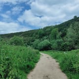 Box Hill Stepping Stones Walk, Surrey, England - 1,187 Reviews, Map ...