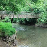 Box Hill Stepping Stones Walk, Surrey, England - 1,187 Reviews, Map ...