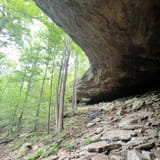 Hideout Hollow Trail, Arkansas - 582 Reviews, Map | AllTrails