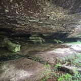 Hideout Hollow Trail, Arkansas - 582 Reviews, Map | AllTrails