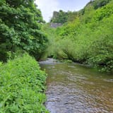 Chee Dale Gorge Circular, Derbyshire, England - 1,550 Reviews, Map ...