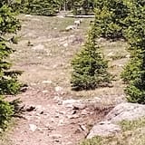 Upper Sand Creek Lake Trail, Colorado - 107 Reviews, Map | AllTrails