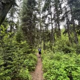 Stanton Lake, Montana - 1,016 Reviews, Map | AllTrails