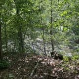 High Rocks, Pennsylvania - 3,265 Reviews, Map | AllTrails