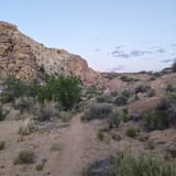 Burro Wash Trail, Utah - 264 Reviews, Map | AllTrails