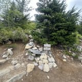 Ira Spring Memorial Trail, Washington - 2,250 Reviews, Map | AllTrails