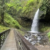 Latourell Falls Loop, Oregon - 6,706 Reviews, Map | AllTrails