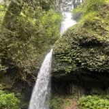 Latourell Falls Loop, Oregon - 6,706 Reviews, Map | AllTrails