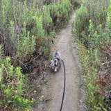 Back Bay Loop Trail, California - 2,393 Reviews, Map | AllTrails