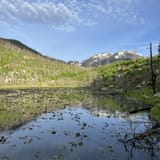 Cub Lake Loop, Colorado - 2,210 Reviews, Map | AllTrails